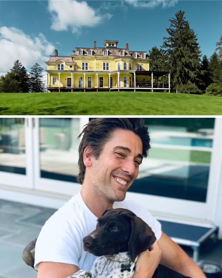 INSIDE DAVID MUIR’S $7 MILLION NYC HOME: You Won’t Believe What’s ...