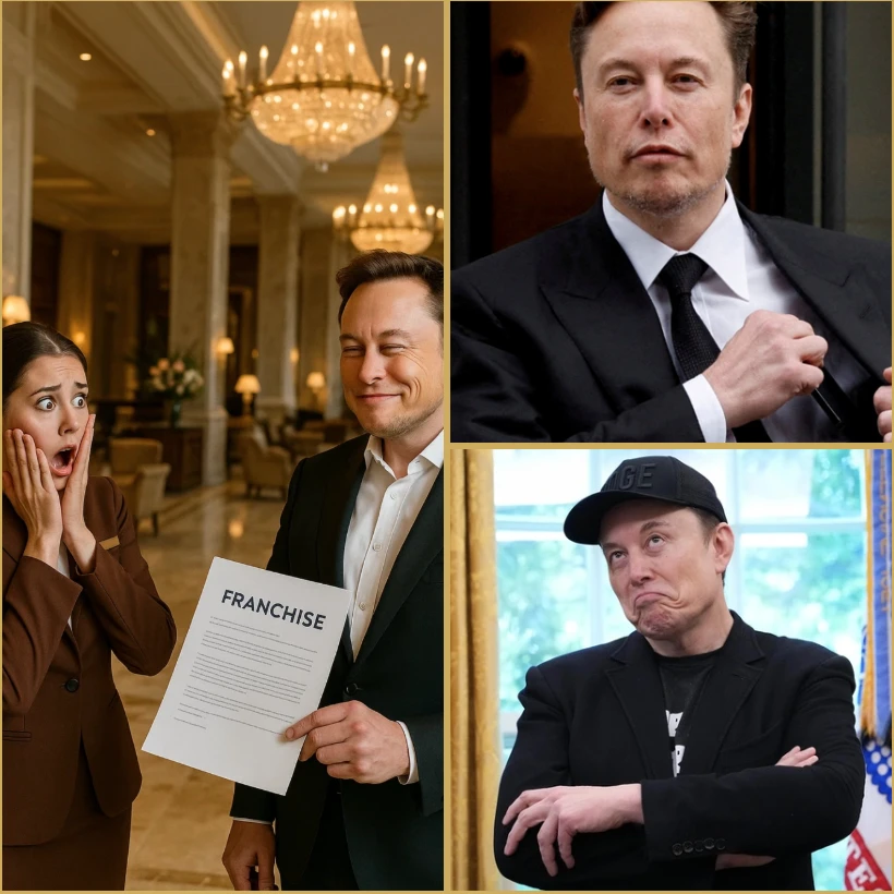 Luxury Hotel Humiliates Elon Musk — He Returns the Next Day and Drops a ...