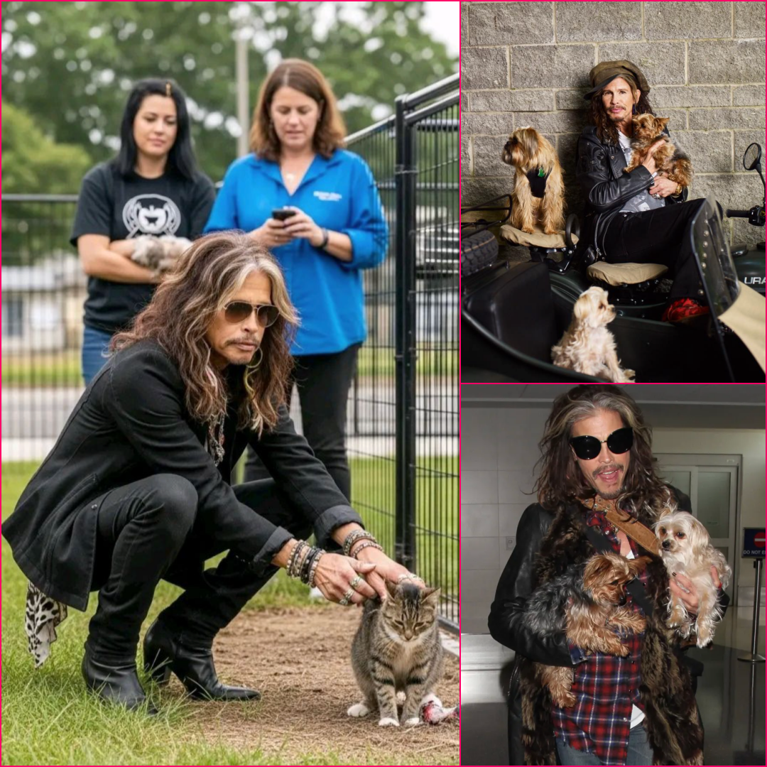 BREAKING: Steven Tyler Launches $1 Million Cat Rescue Sanctuary - News