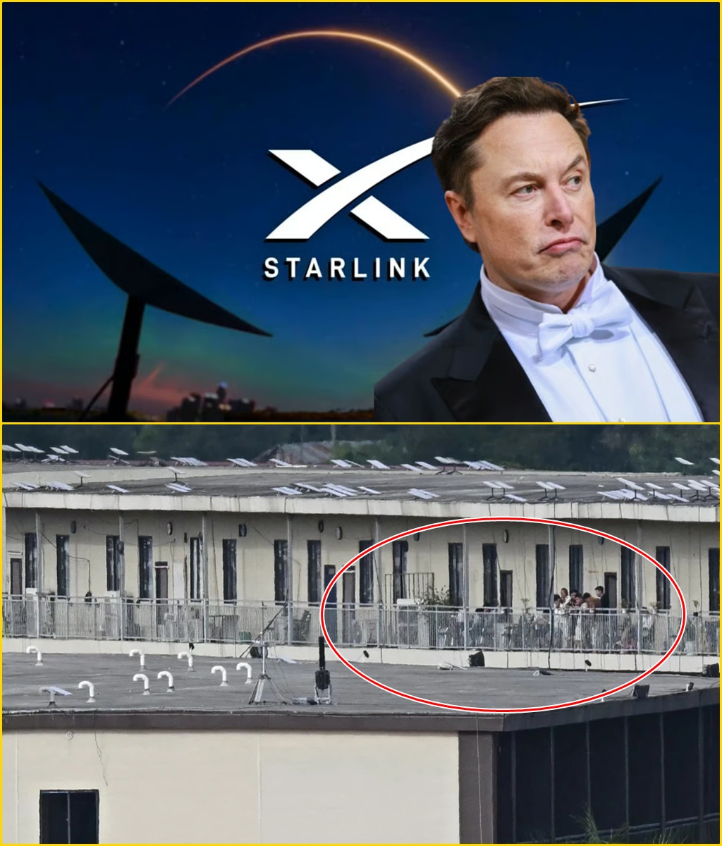 “ENOUGH IS ENOUGH” — Elon Musk’s SpaceX SHUTS DOWN Starlink Access at ...