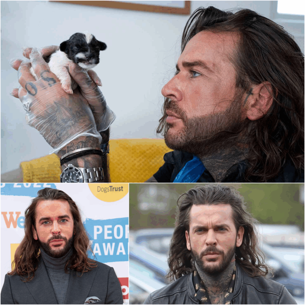 PETE WICKS STUNS FANS! — From Reality TV Heartthrob to BBC Quiz ...