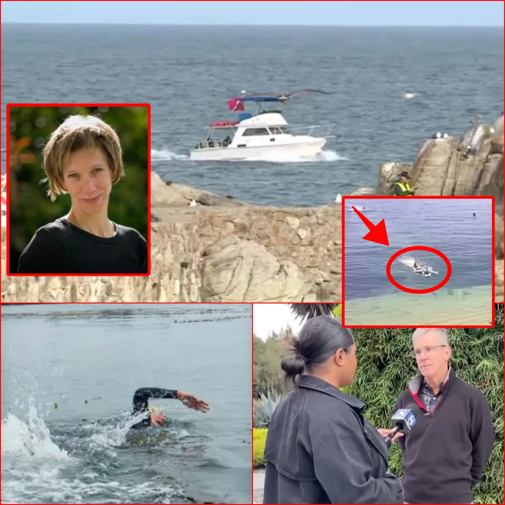 “FOOTAGE REVEALS CHILLING SCENES…” — New Footage Captures the Sh0cking ...