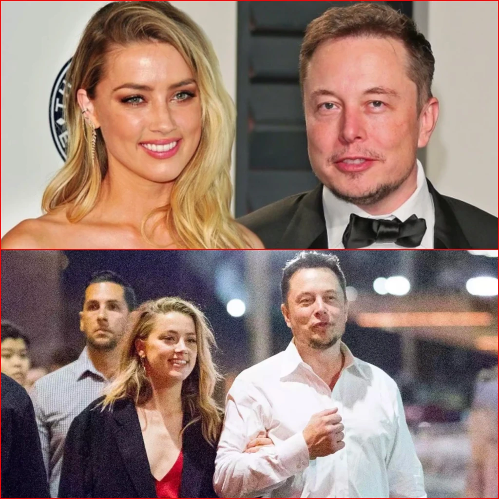 “I Was a Fool for Love...” — Elon Musk Exposes Brutal, Heart-Wrenching ...