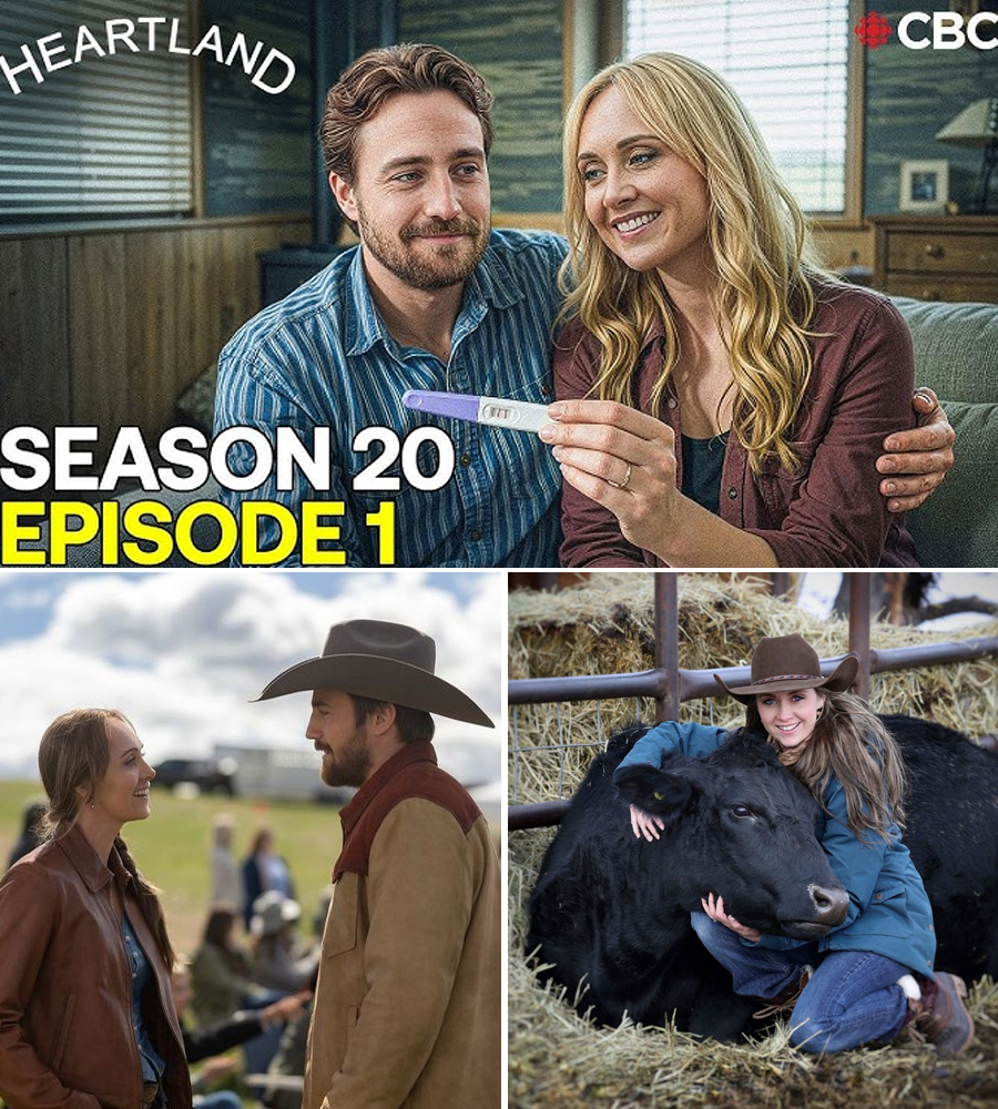 Nothing Feels Safe Anymore: Heartland Season 20 Teases Shattering ...