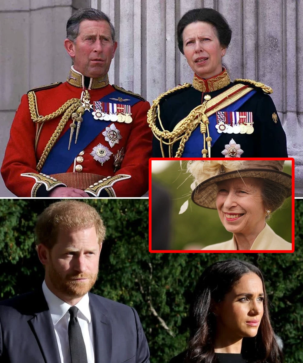 Royal family issues an 'ultimatum': Princess Anne enters the fray ...