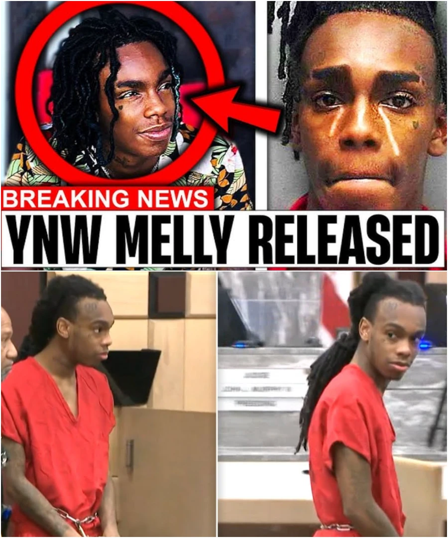 SH0CKING: YNW Melly requests to be released again after being in jail ...