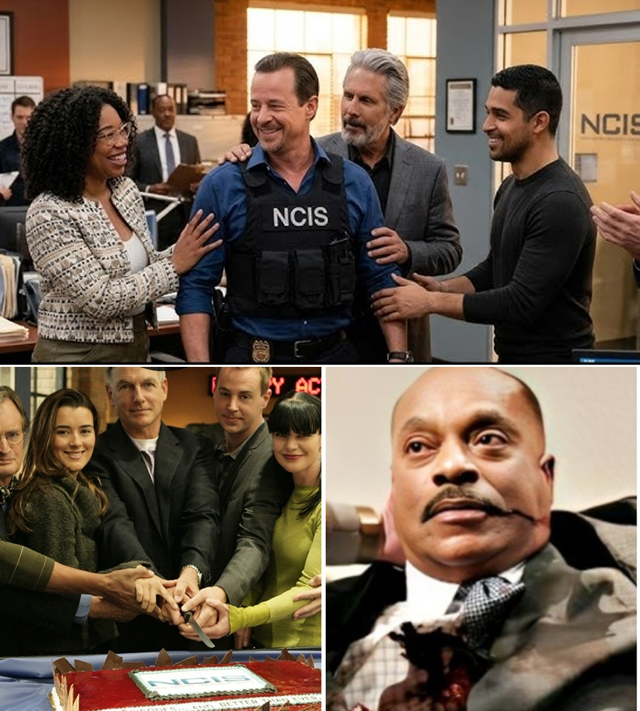 NCIS Shocker: Leon Vance’s Exit Leaves a Devastating Void as McGee ...